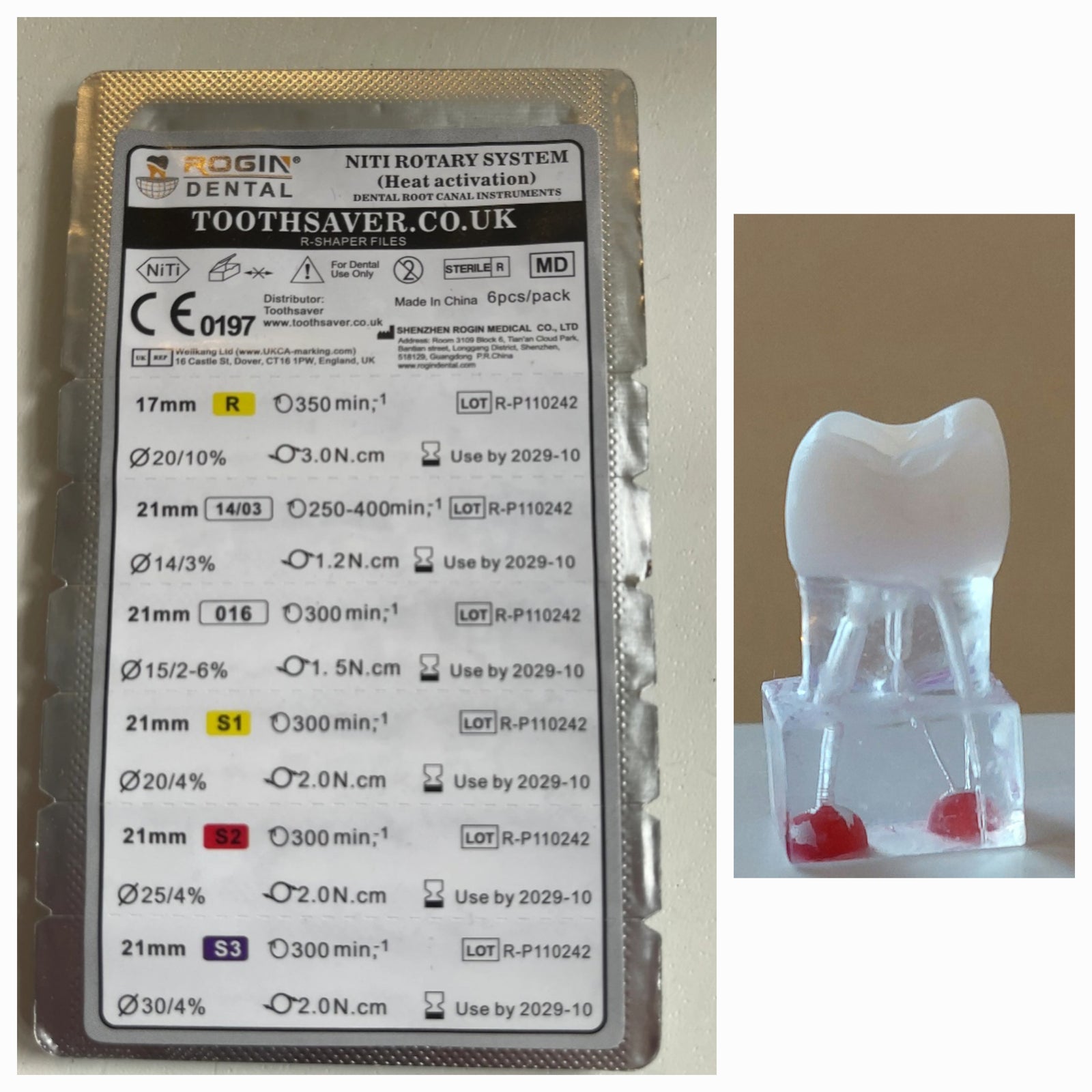 Toothsaver Files starter Pack with Model Tooth